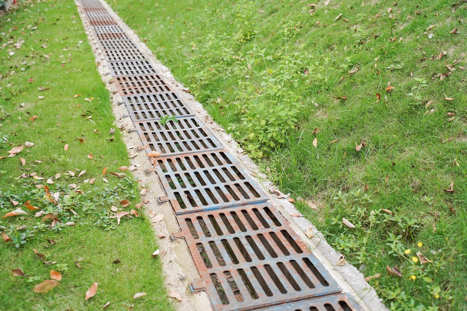 Advanced Drainage Solutions to Protect Your Landscape Investment in ...