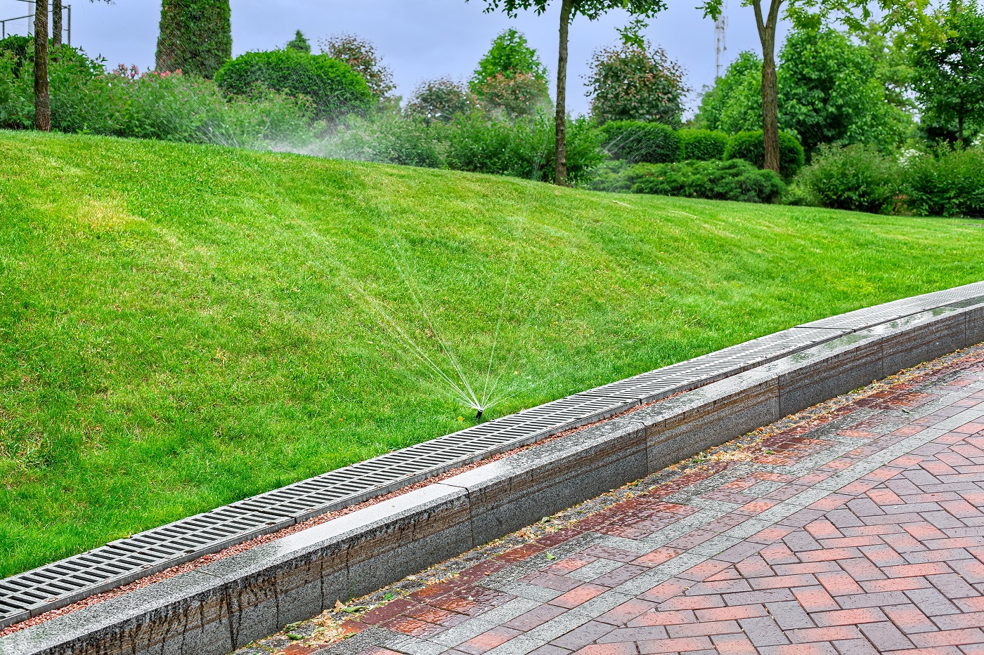 How to Future-Proof Your Landscape with Smart Irrigation & Drainage ...